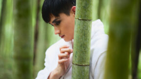 Thirty Years of Adonis - IFFR EN