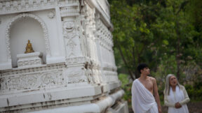 Thirty Years of Adonis - IFFR EN