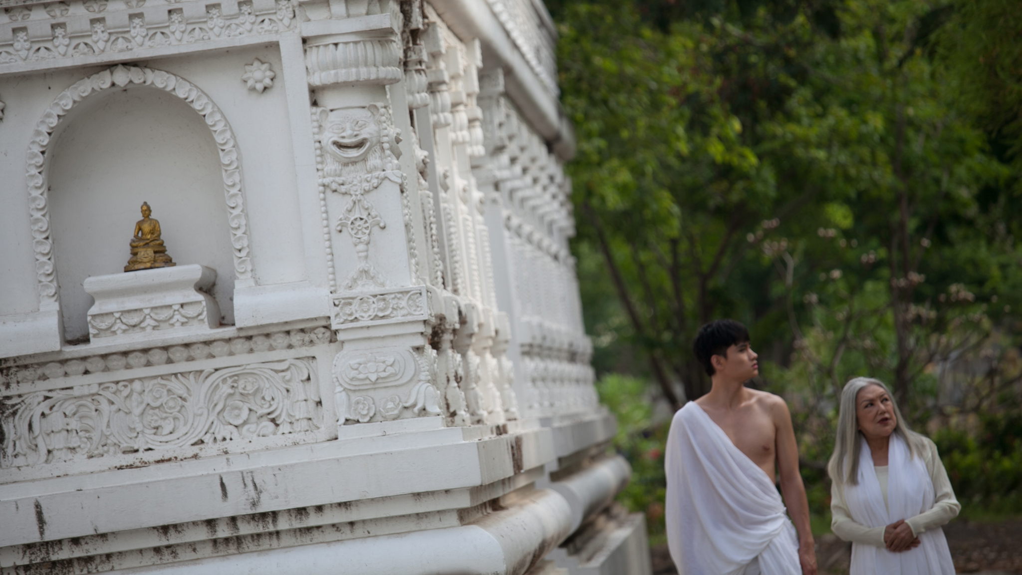 Thirty Years of Adonis - IFFR EN