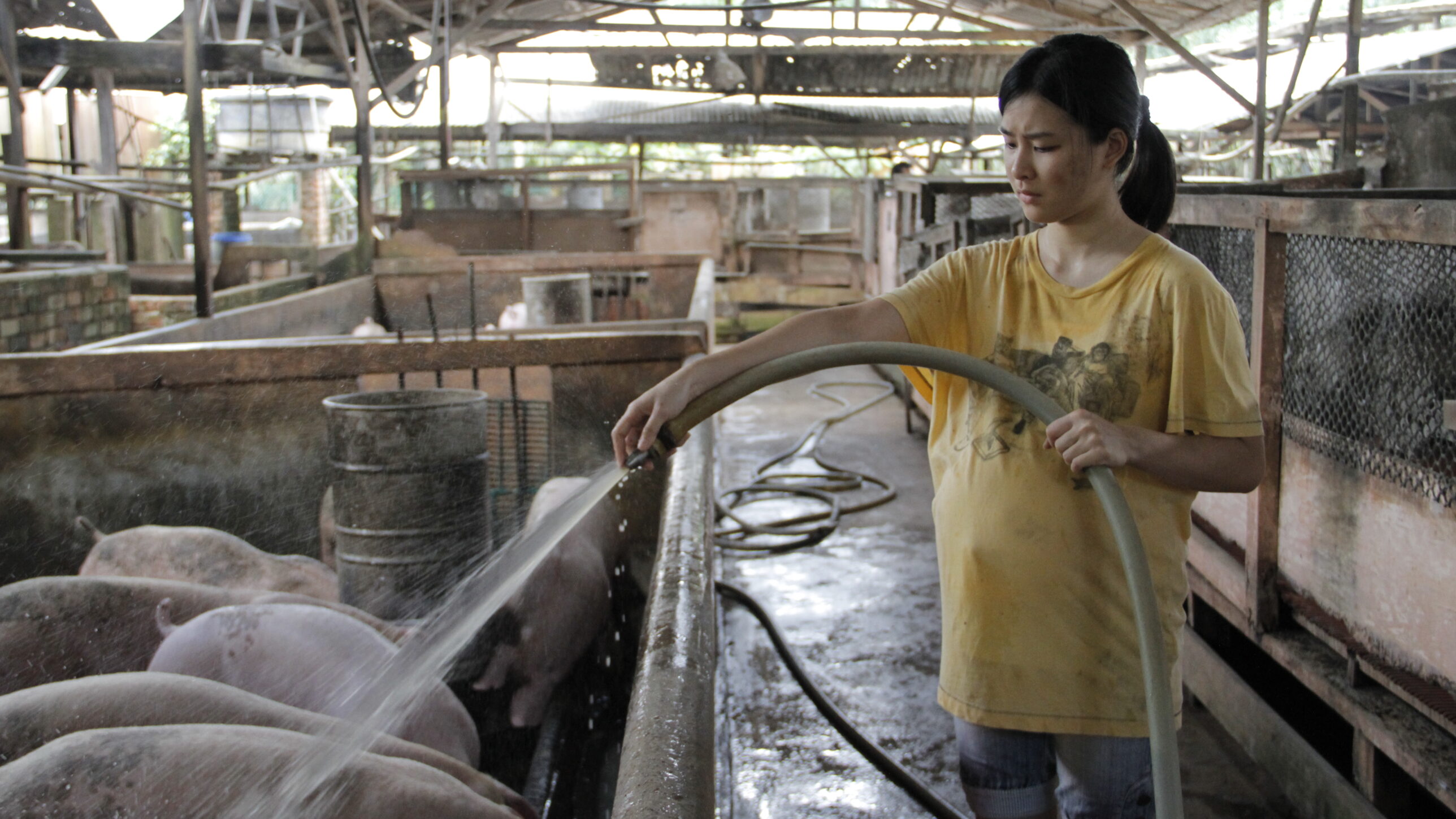 The Tiger Factory - IFFR EN