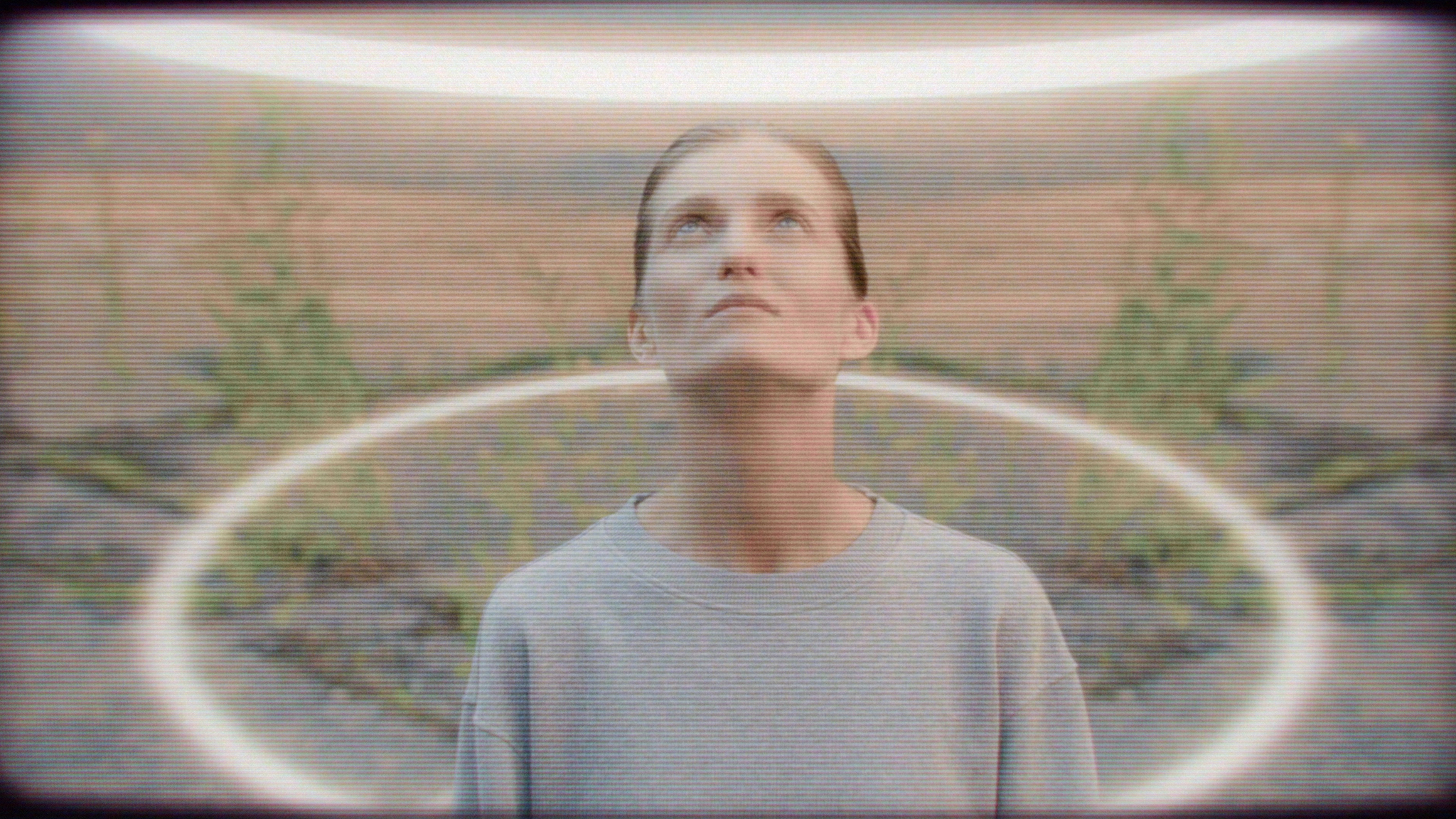 Bozo Over Roses - IFFR EN