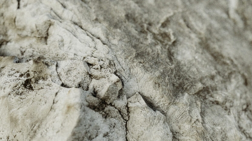 Les Rites de Passage - IFFR EN