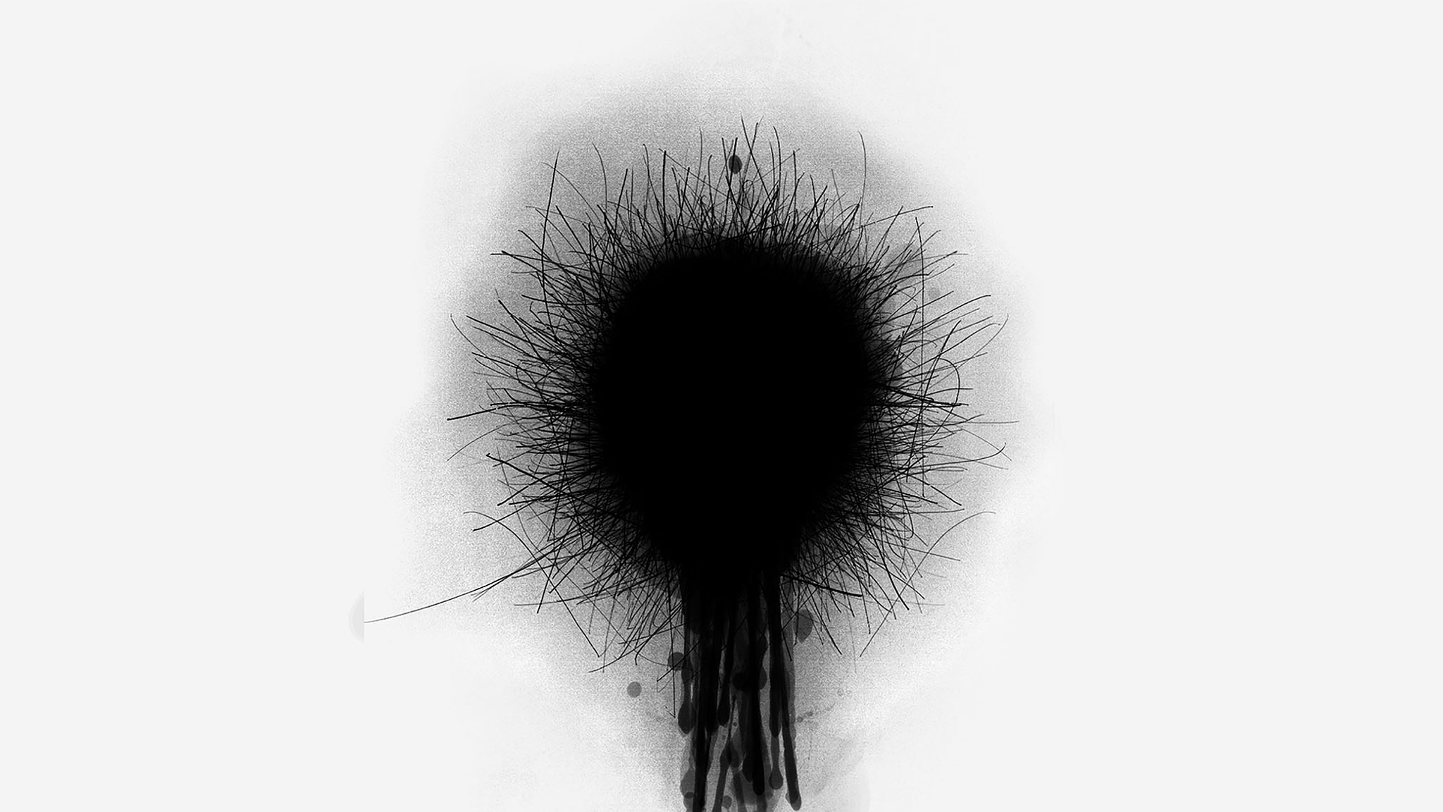 Dandelion - IFFR EN Dandelion - IFFR EN